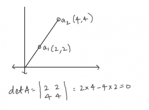 Demystifying Determinant of a Matrix – Muthukrishnan